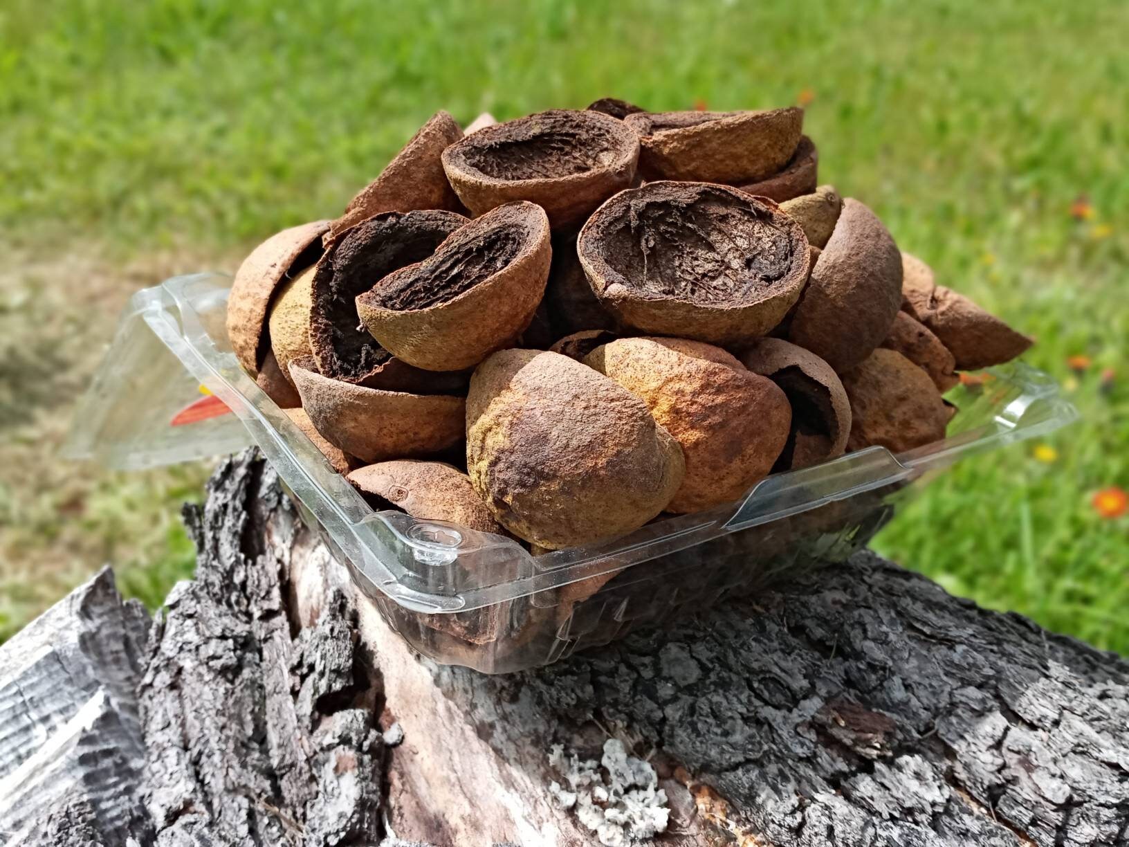 CLEARANCE! Organic Dried Black Walnuts Hulls - Choose Weight - 1oz, 4oz ...