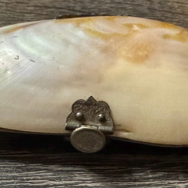 Antique Shell Purse - Etsy