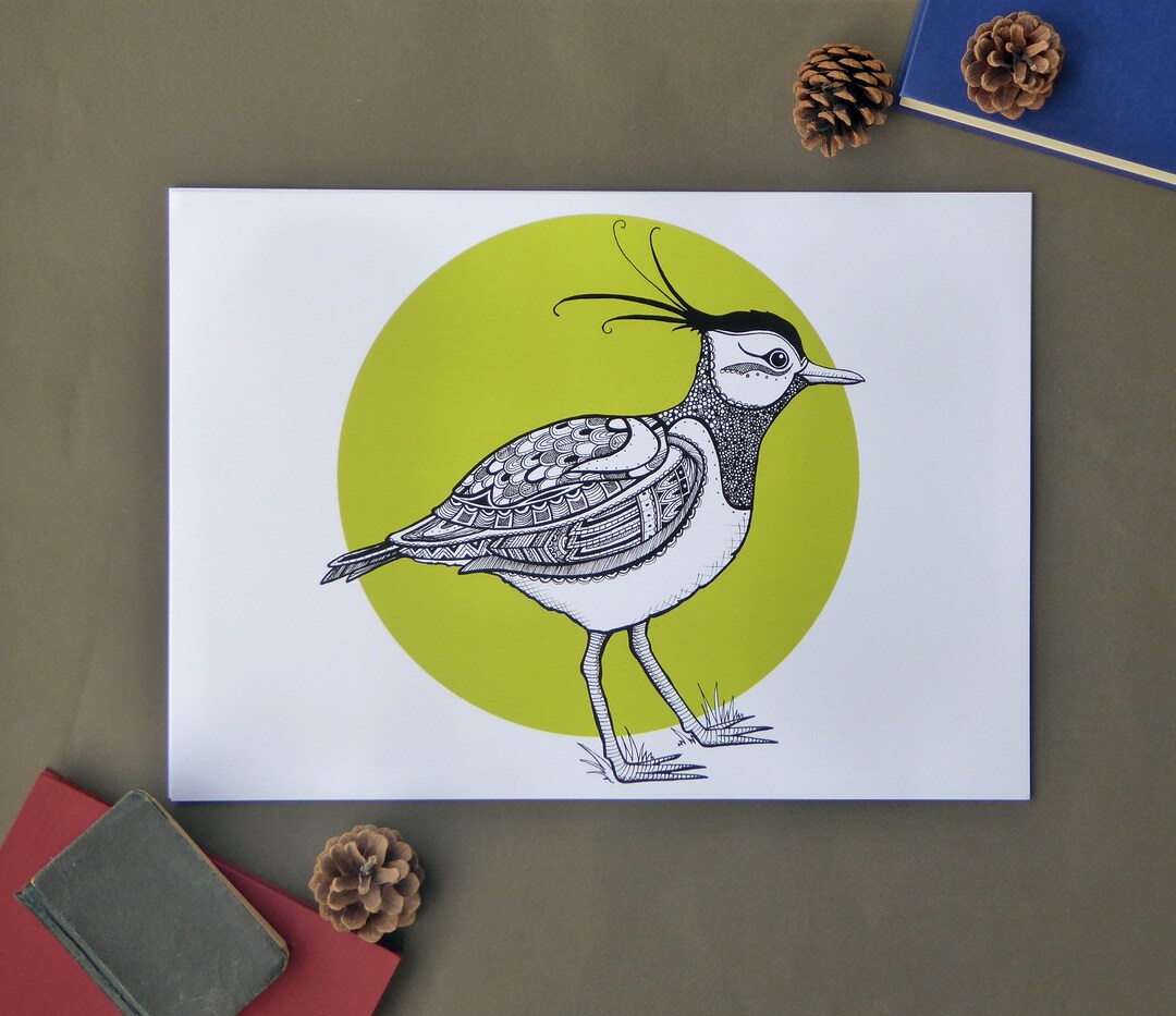 Lapwing A3 Digital Print - Etsy