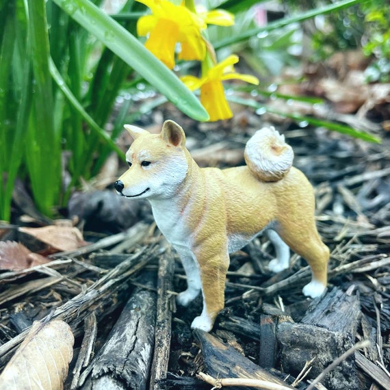 Mini Shiba Inu