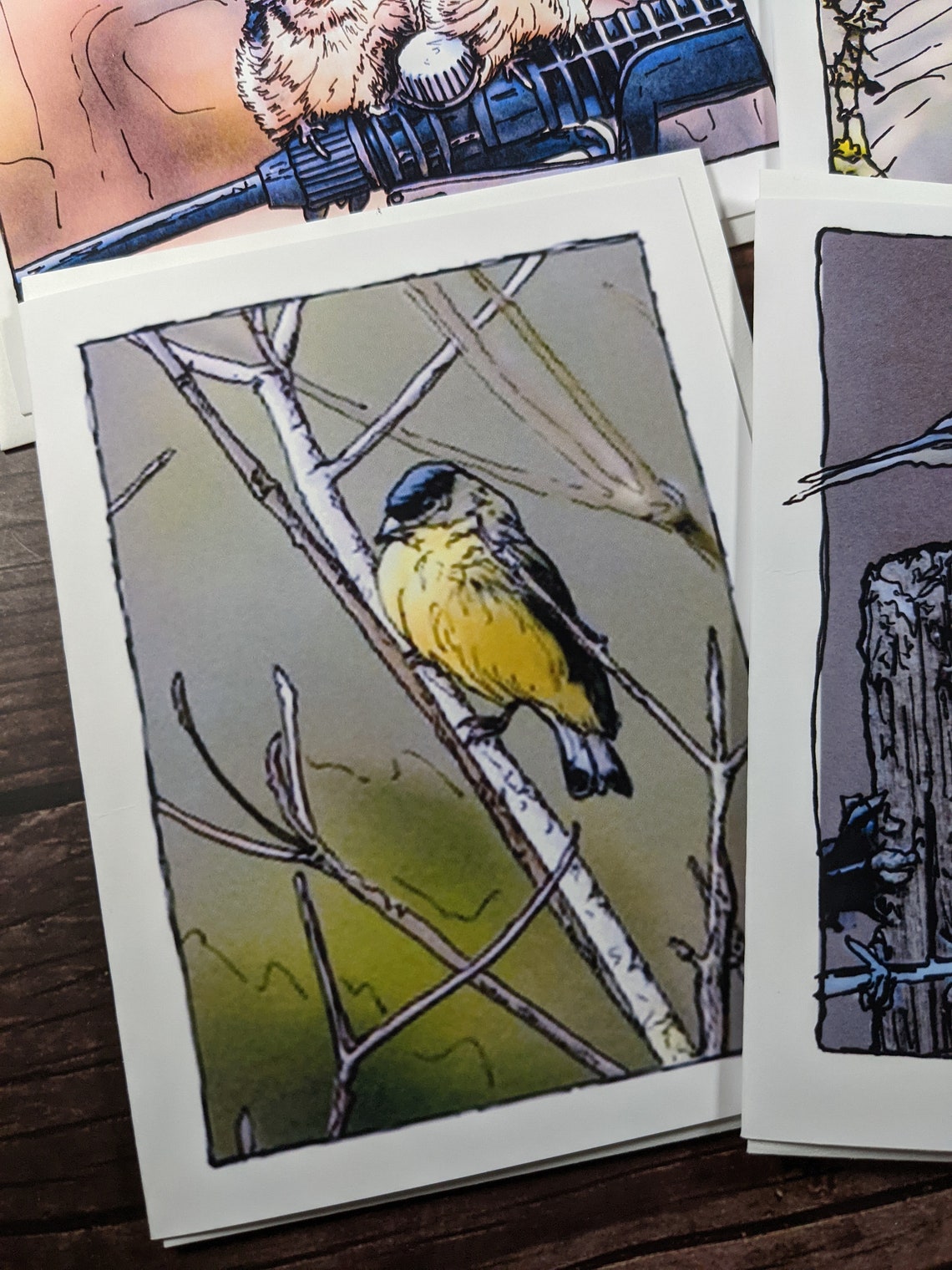 Mixed Bird Notecards Pen and Ink Doodled Designed Notecards | Etsy