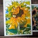 Sunflower Notecards With New Designs Added, Pen and Ink Doodled Photo ...