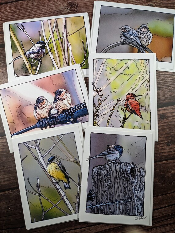 Mixed Bird Notecards Pen and Ink Doodled Designed Notecards | Etsy