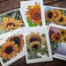 Sunflower Notecards With New Designs Added, Pen and Ink Doodled Photo ...