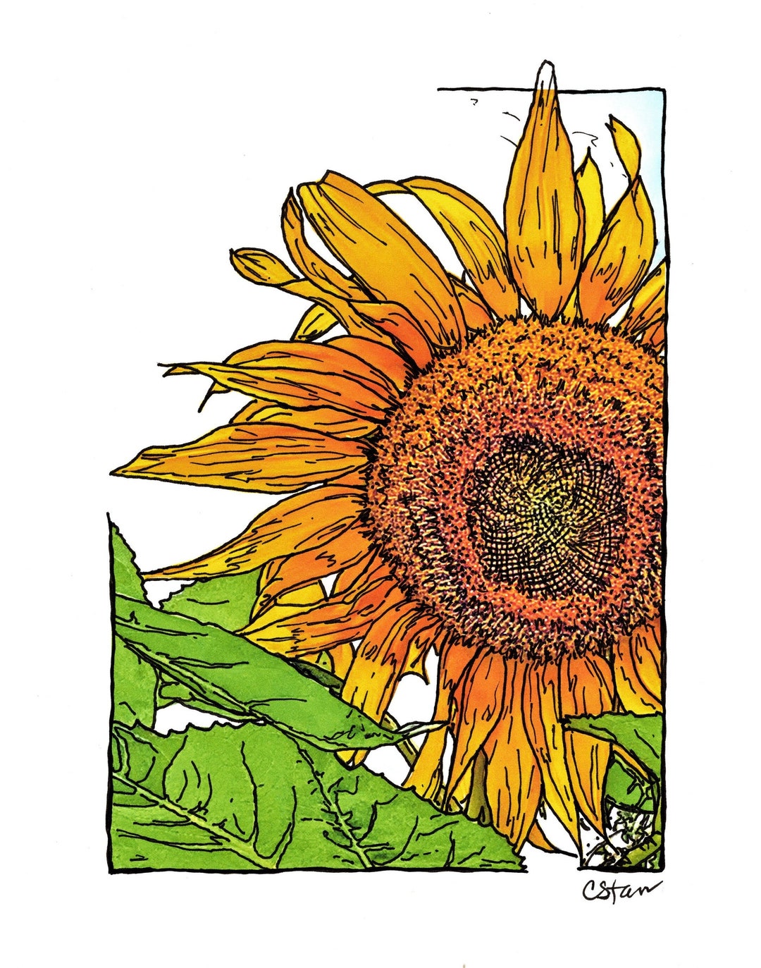 Surreal Looking Sunflower, Altered Photography, Digital Art Print - Etsy