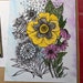 Big Bold Pen and Ink Doodled Flowers, Art Print, With or Without Pastel ...
