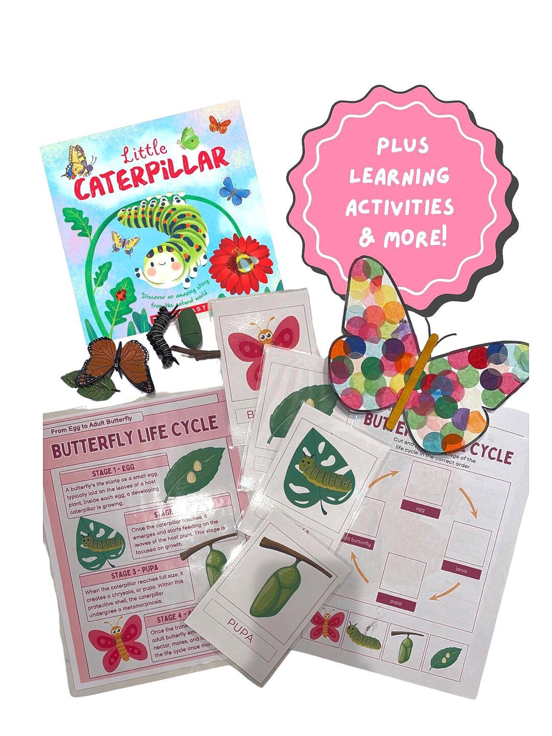 Butterfly Life Cycle Kit Life Cycle of a Butterfly Unit Life Cycle of a ...