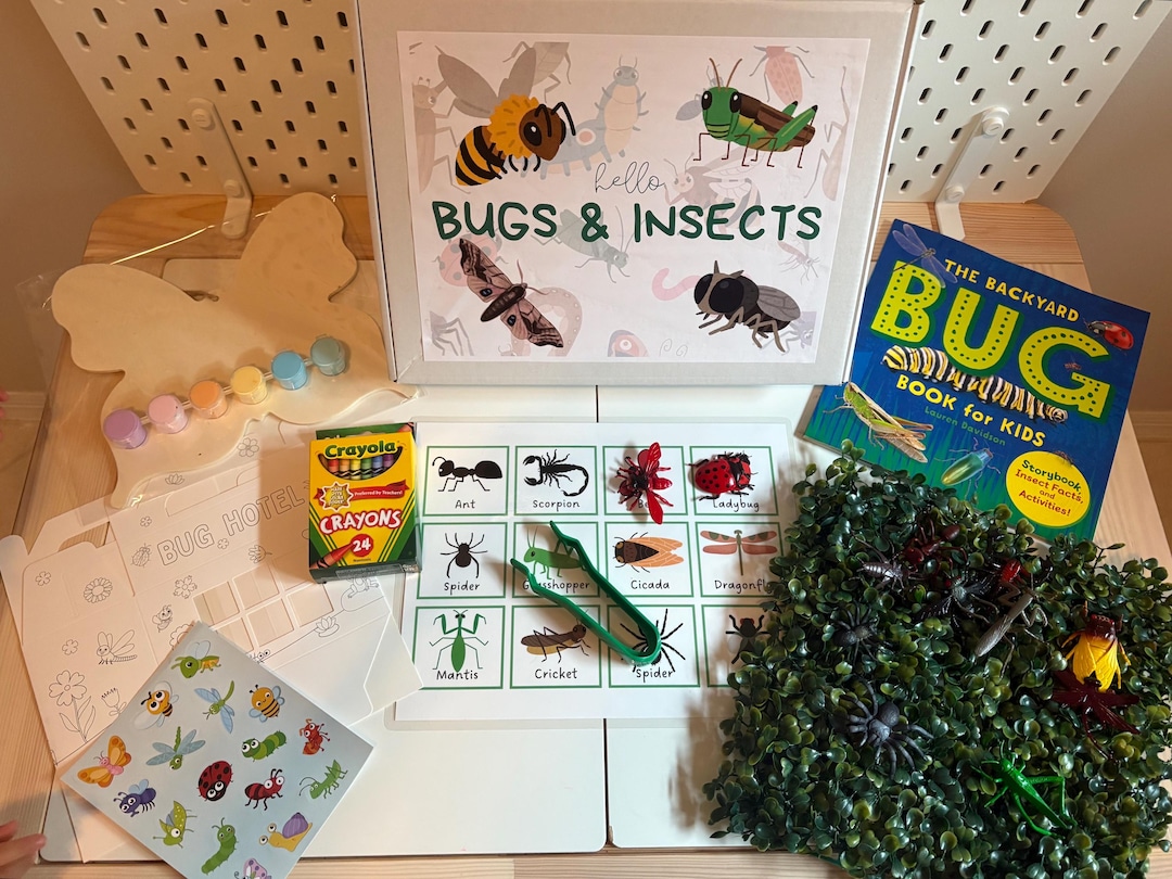 Bug Box Bugs and Insects Activity Boxes Kids Birthday Gifts Bug Study ...