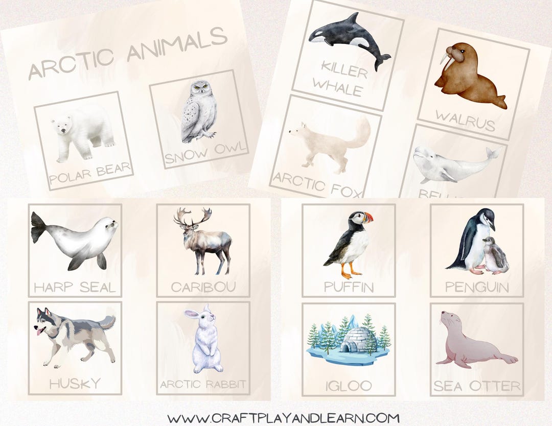 Arctic Animal Learning Arctic Animal Printable Arctic Animals - Etsy