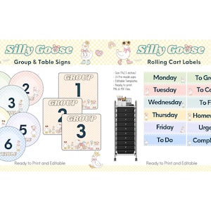 Silly Goose Classroom Decor Bundle Groovy Pastel Coquette Theme ...