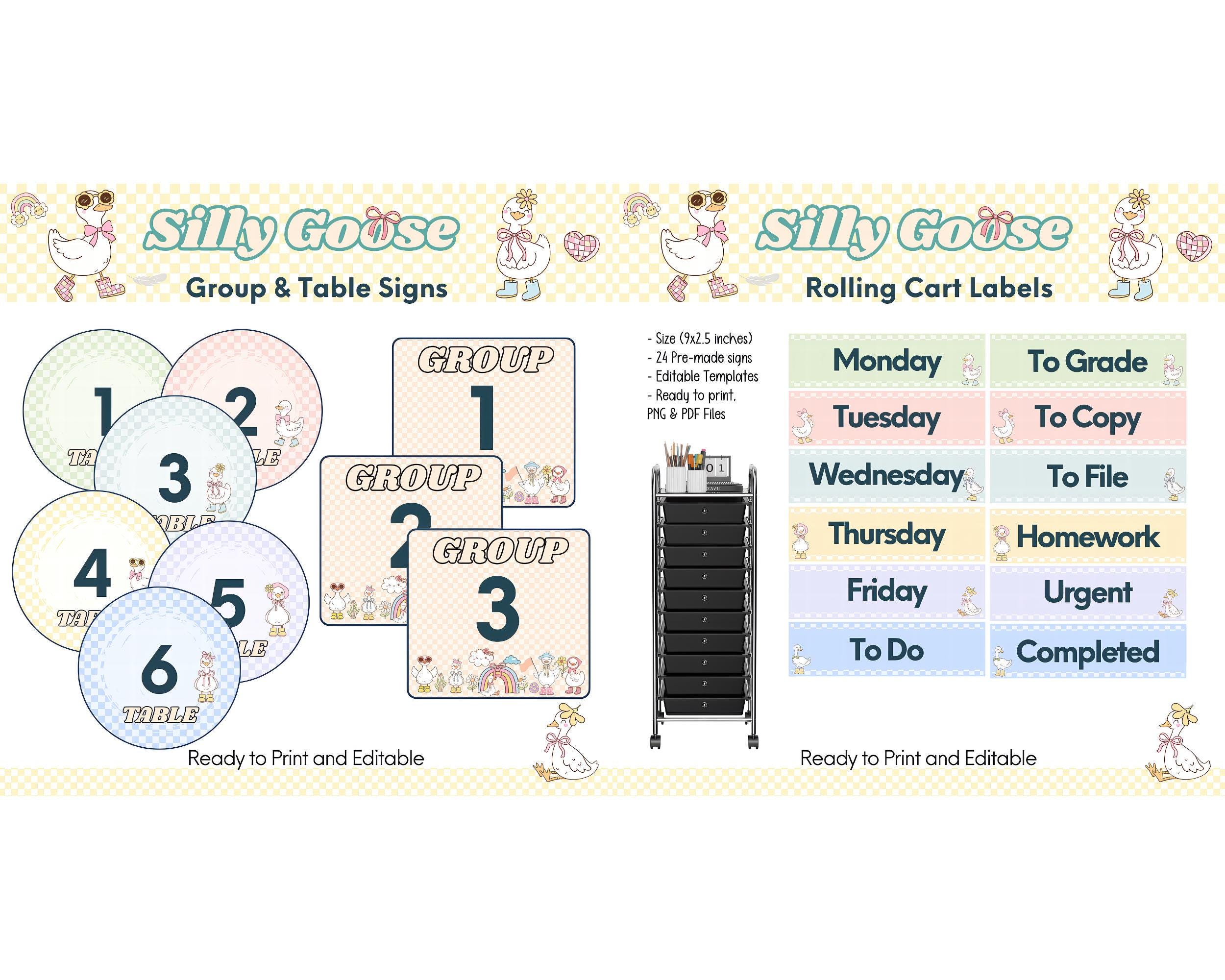 Silly Goose Classroom Decor Bundle Groovy Pastel Coquette Theme ...