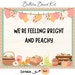 Peachy Sweet Summer Bulletin Board Kit This Class is Peachy Sweet ...