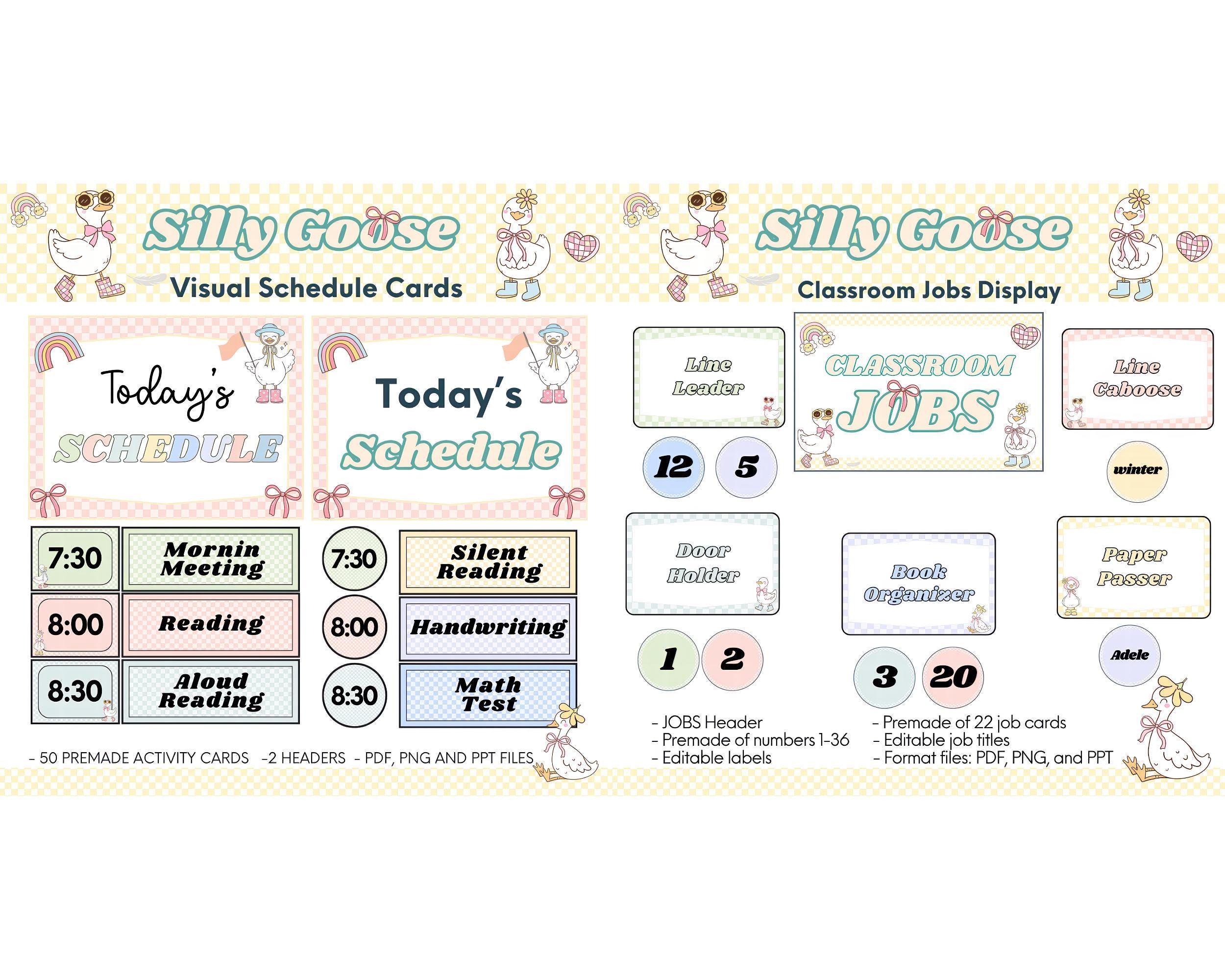 Silly Goose Classroom Decor Bundle Groovy Pastel Coquette Theme ...