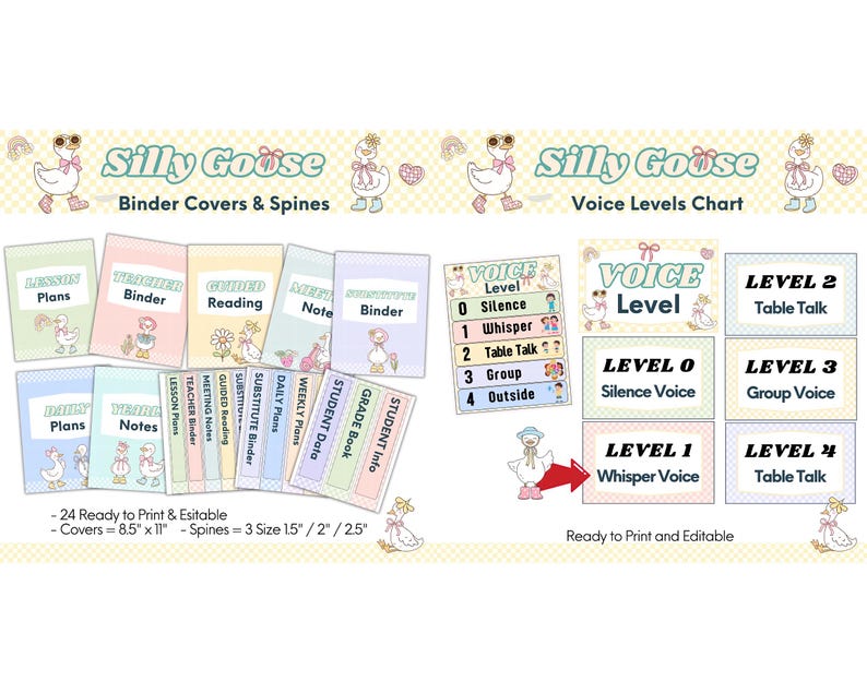 Silly Goose Classroom Decor Bundle Groovy Pastel Coquette Theme ...