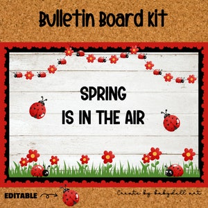 Ladybug Spring Bulletin Board Kit | March April Classroom Door Decor ...