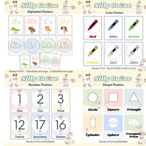 Silly Goose Classroom Decor Bundle Groovy Pastel Coquette Theme ...