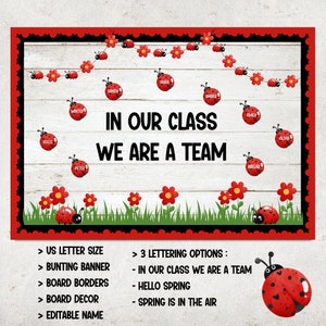 Spring Bulletin Board, Ladybug in Our Class We Are a Team Bulletin ...