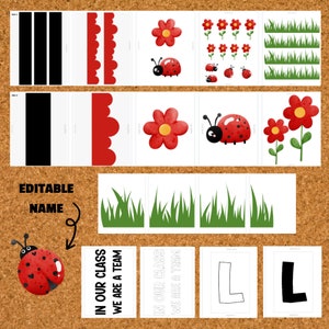 Spring Bulletin Board, Ladybug in Our Class We Are a Team Bulletin ...