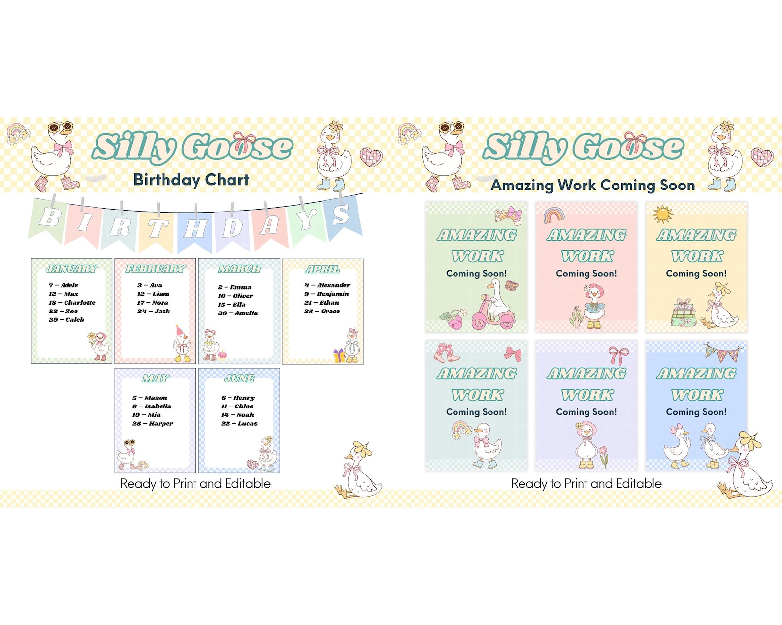 Silly Goose Classroom Decor Bundle Groovy Pastel Coquette Theme ...