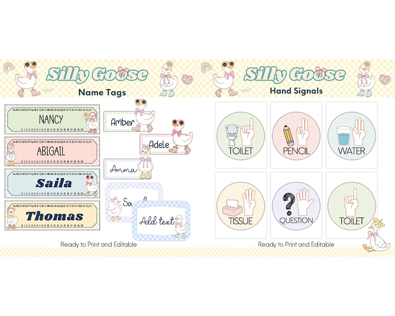 Silly Goose Classroom Decor Bundle Groovy Pastel Coquette Theme ...