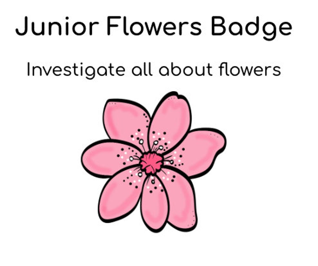 Junior Flowers Badge Booklet - Etsy
