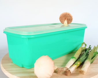 Jadeite Tupperware Celery Keeper Crisper 892 - Etsy