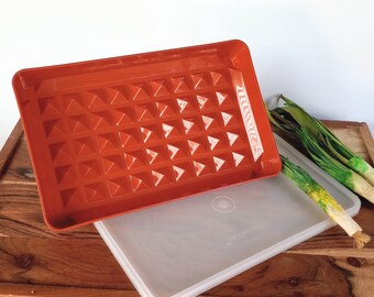 Tupperware Season Serve Meat Marinating Container - Etsy