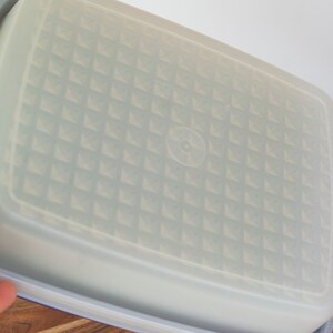 Tupperware Season Serve Marinating Container Refrigerator Meat - Etsy