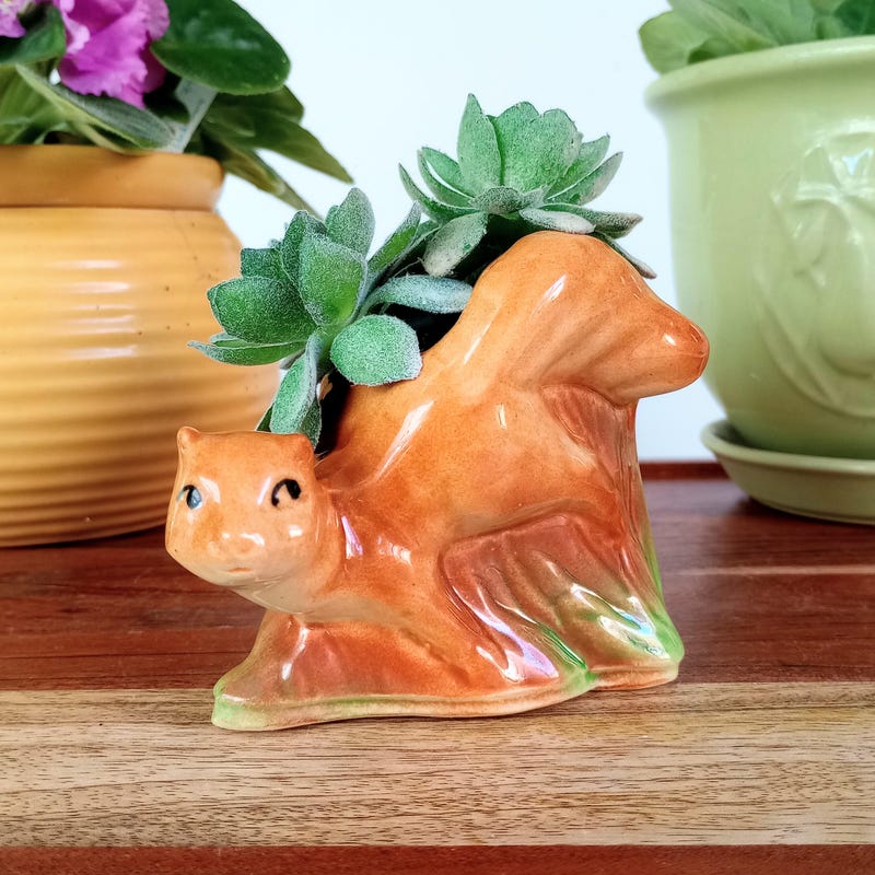 Squirrel Planter - Etsy