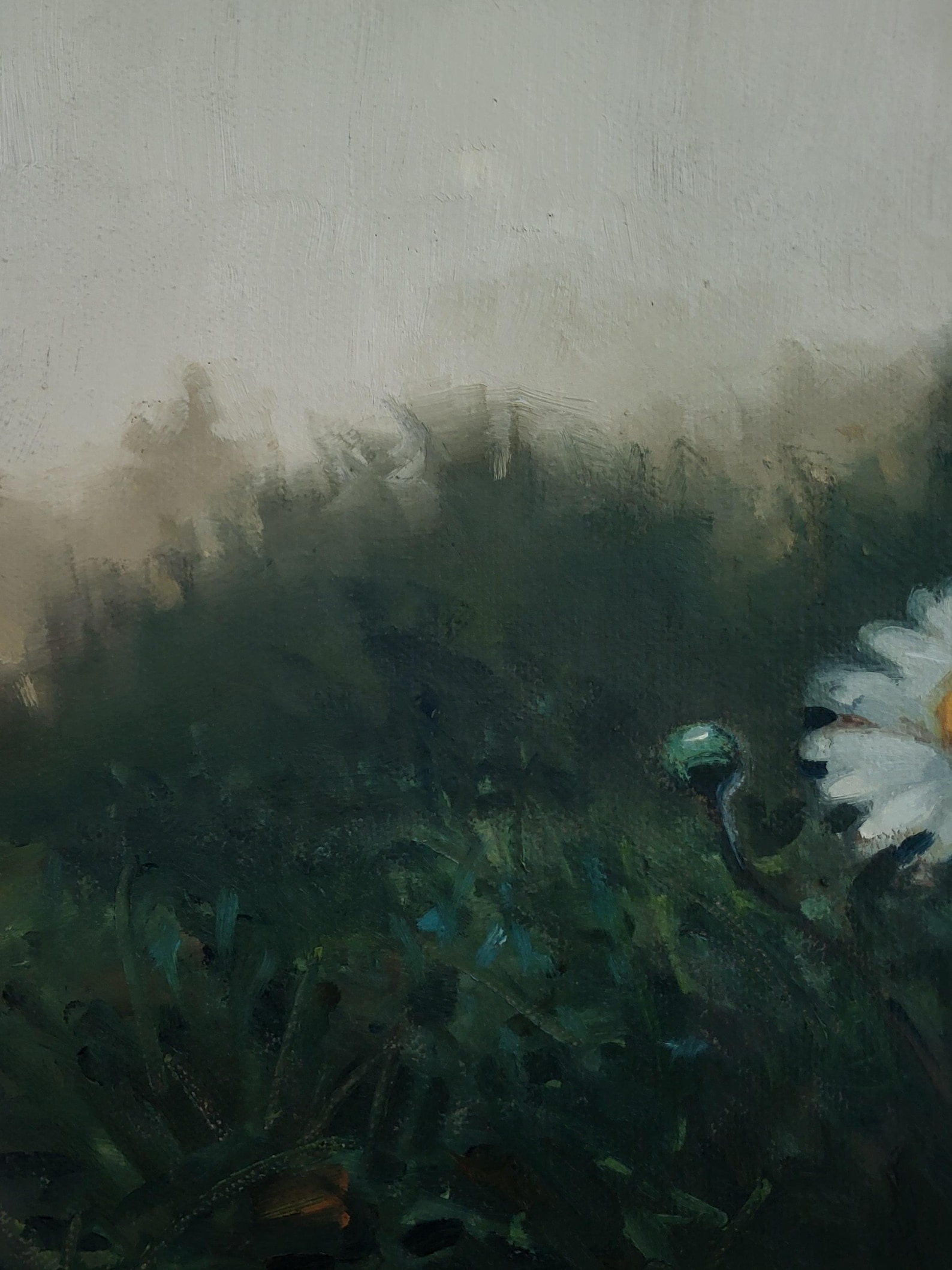First Daisy, Original Landscape With Flower Oil Painting, Impressionist ...