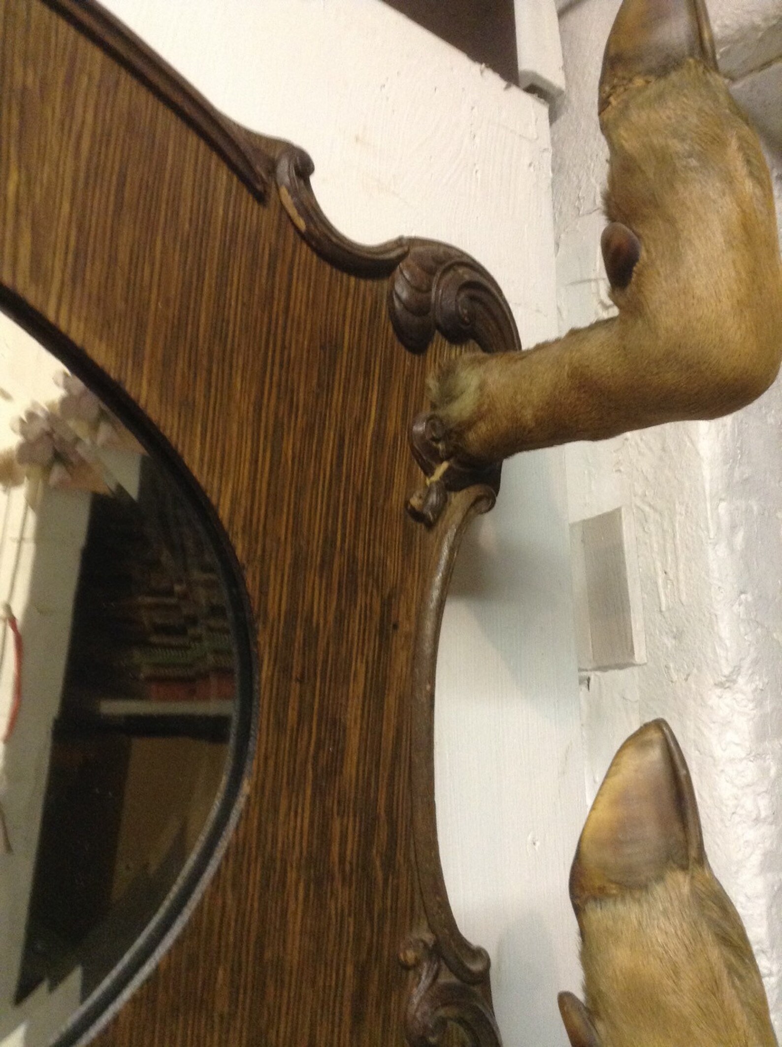 Vintage Mirror Victorian Hat Rack Taxidermy-pick UP ONLY - Etsy