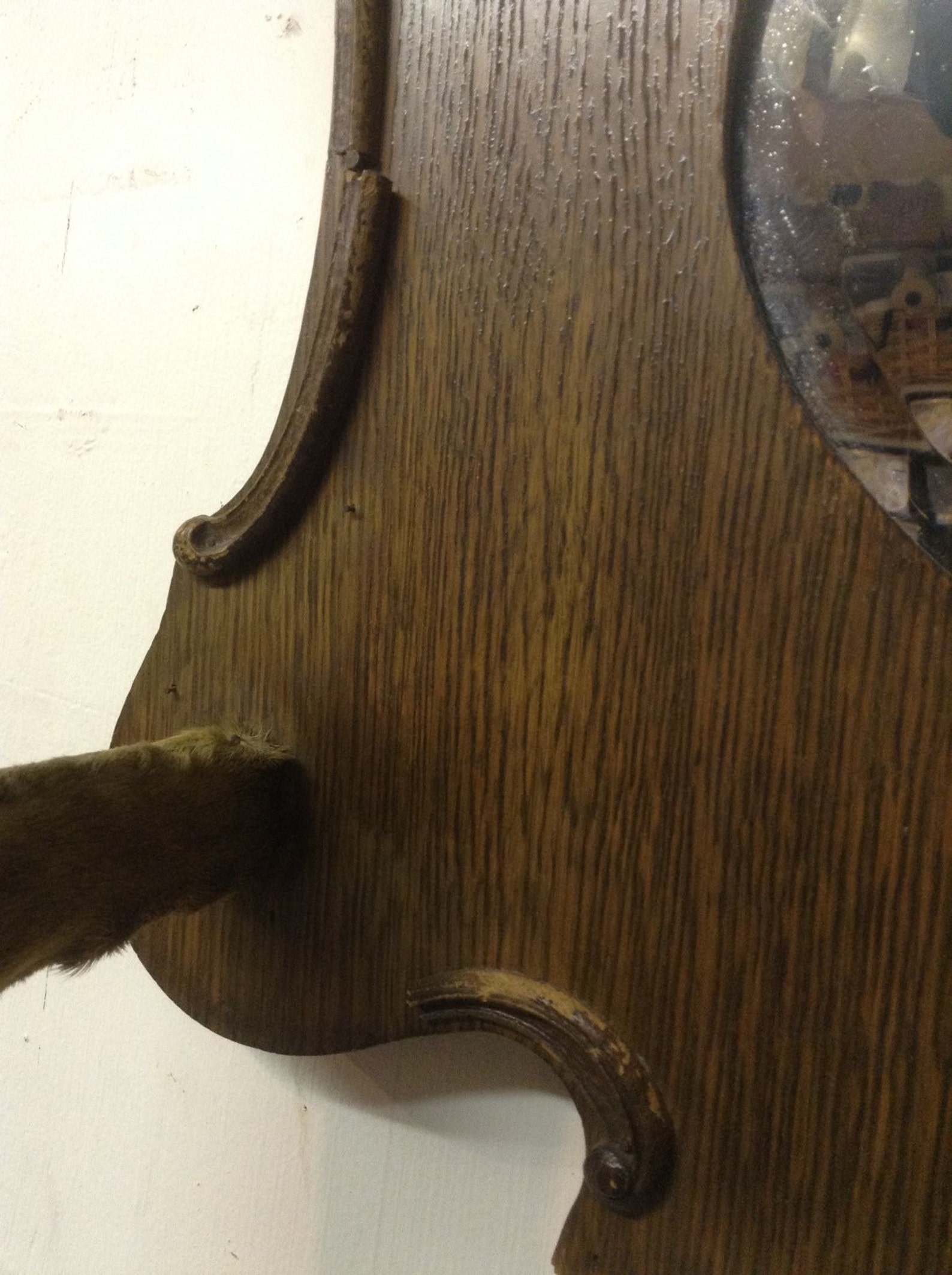 Vintage Mirror Victorian Hat Rack Taxidermy-pick UP ONLY - Etsy