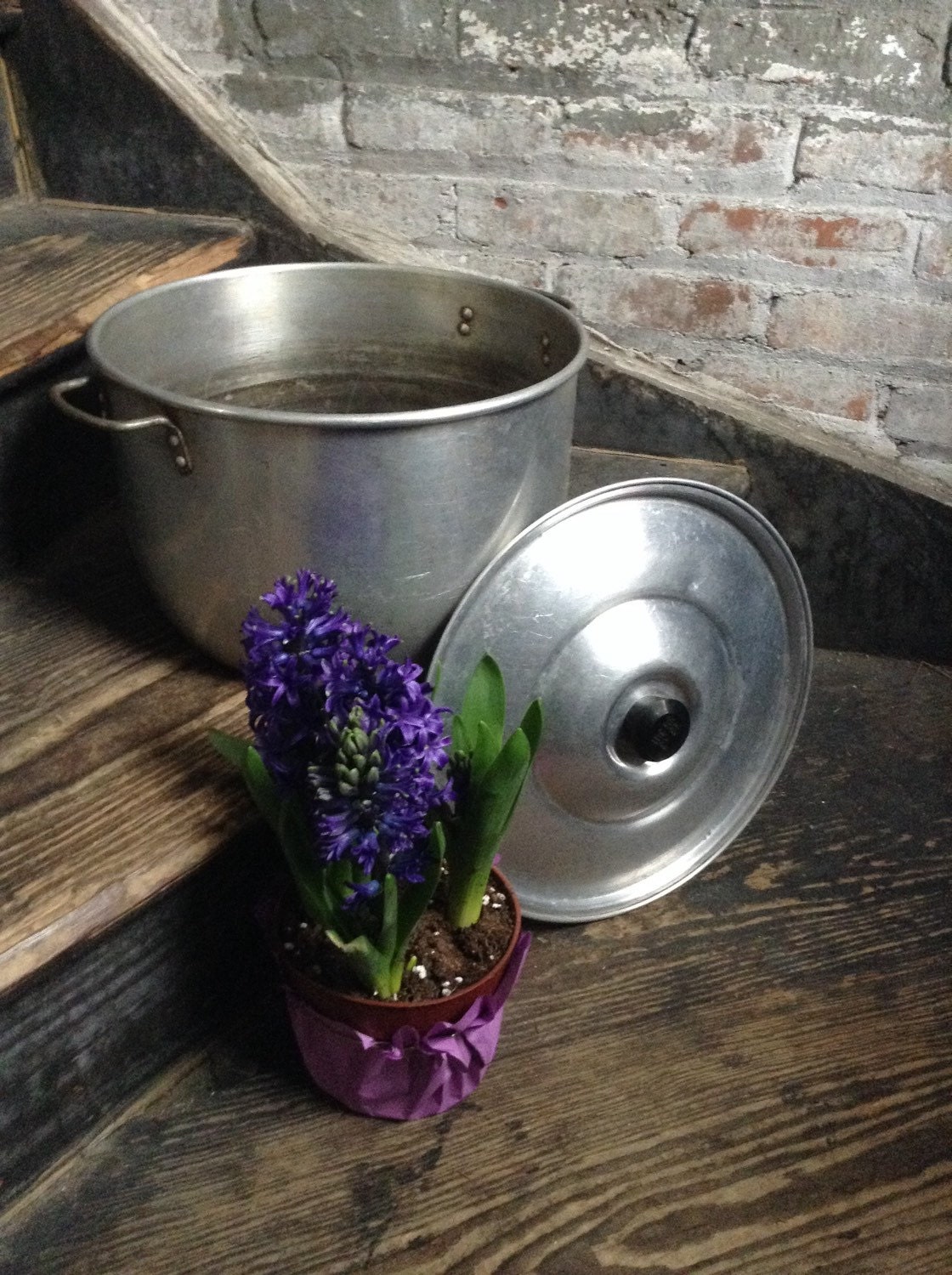 Large Everware Pot | Etsy