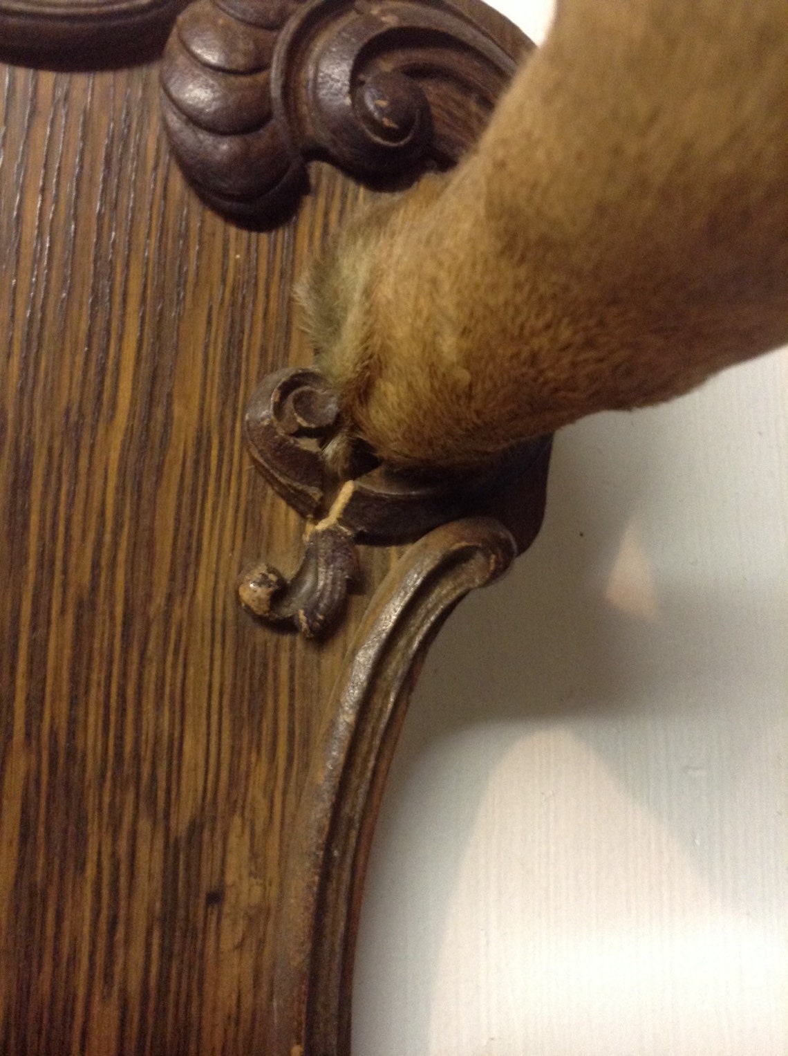 Vintage Mirror Victorian Hat Rack Taxidermy-pick UP ONLY - Etsy