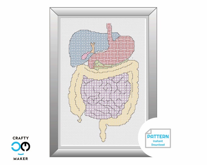 Anatomical Digestive Tract Cross Stitch Pattern Anatomical Cross Stitch ...