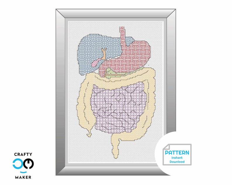 Anatomical Digestive Tract Cross Stitch Pattern: GI Medical Art (PDF ...