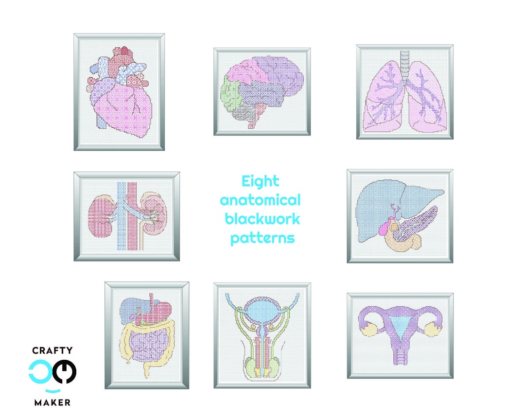 8 Anatomical Cross Stitch Pattern | Anatomy Blackwork | Heart, Brain ...