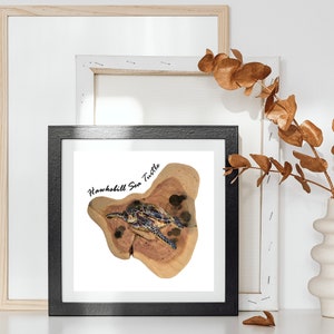 Hawksbill Sea Turtle Print - Etsy