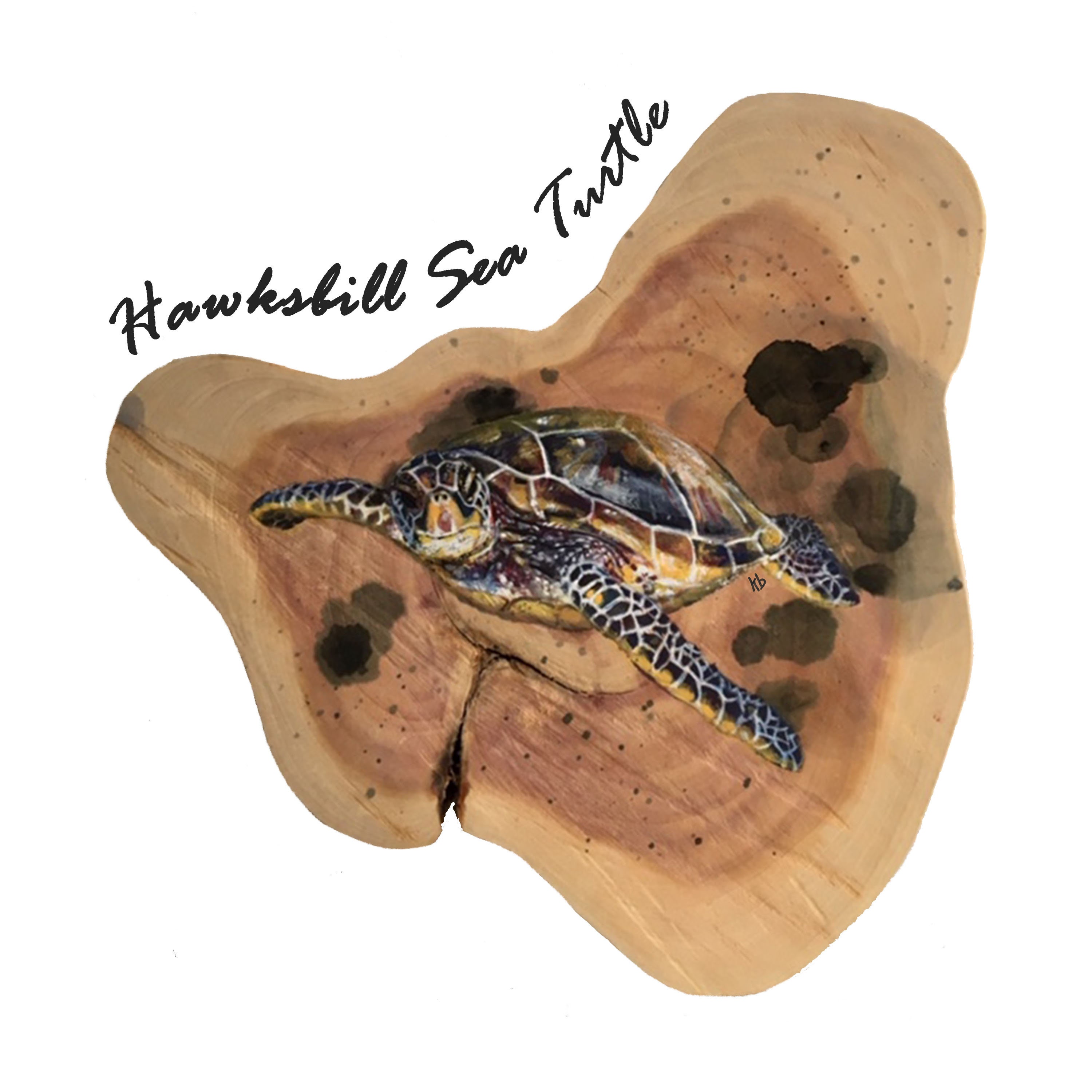 Hawksbill Sea Turtle Print - Etsy