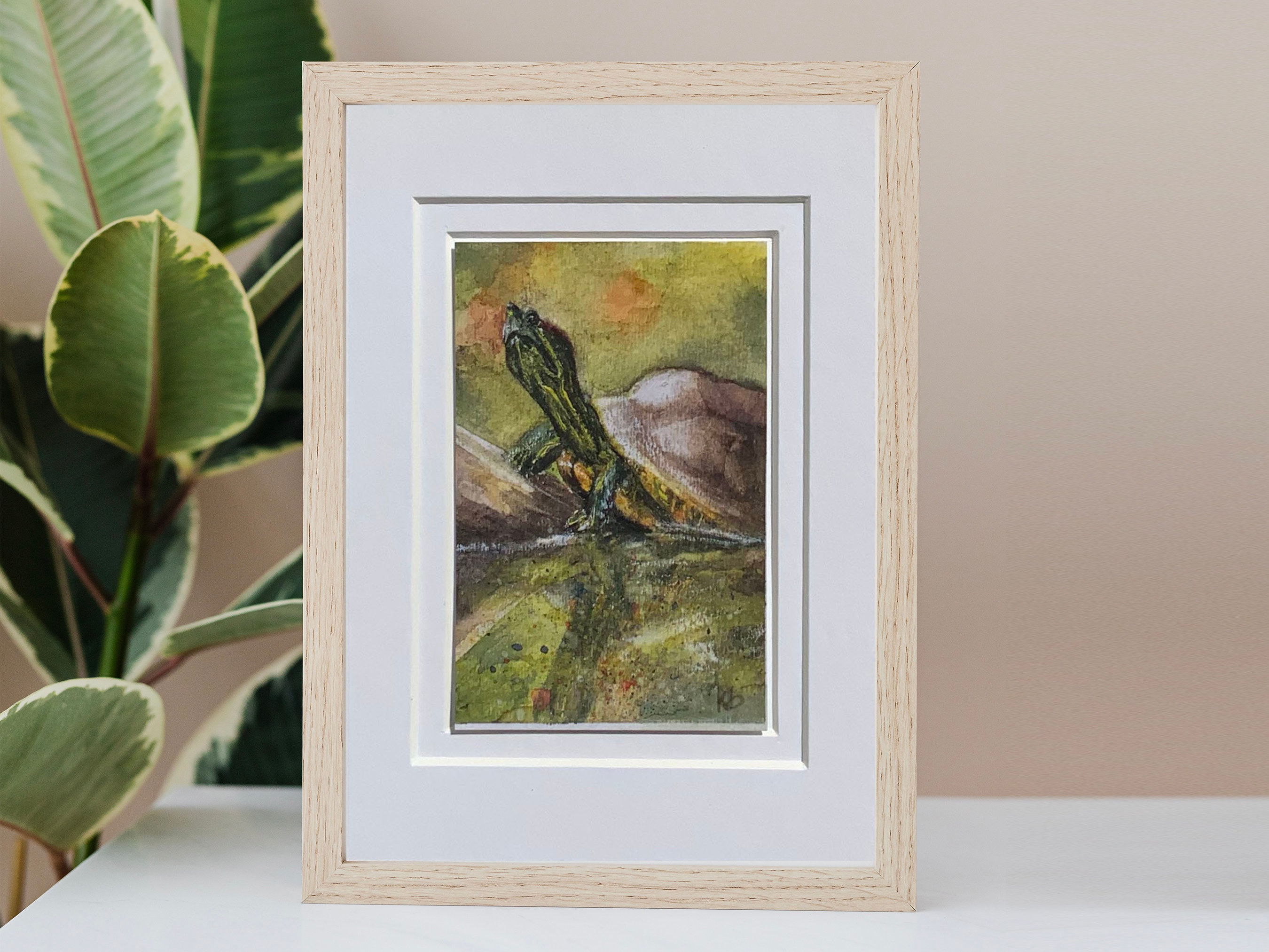 Red Eared Slider Turtle Art Turtle Art Print Turtle Print - Etsy