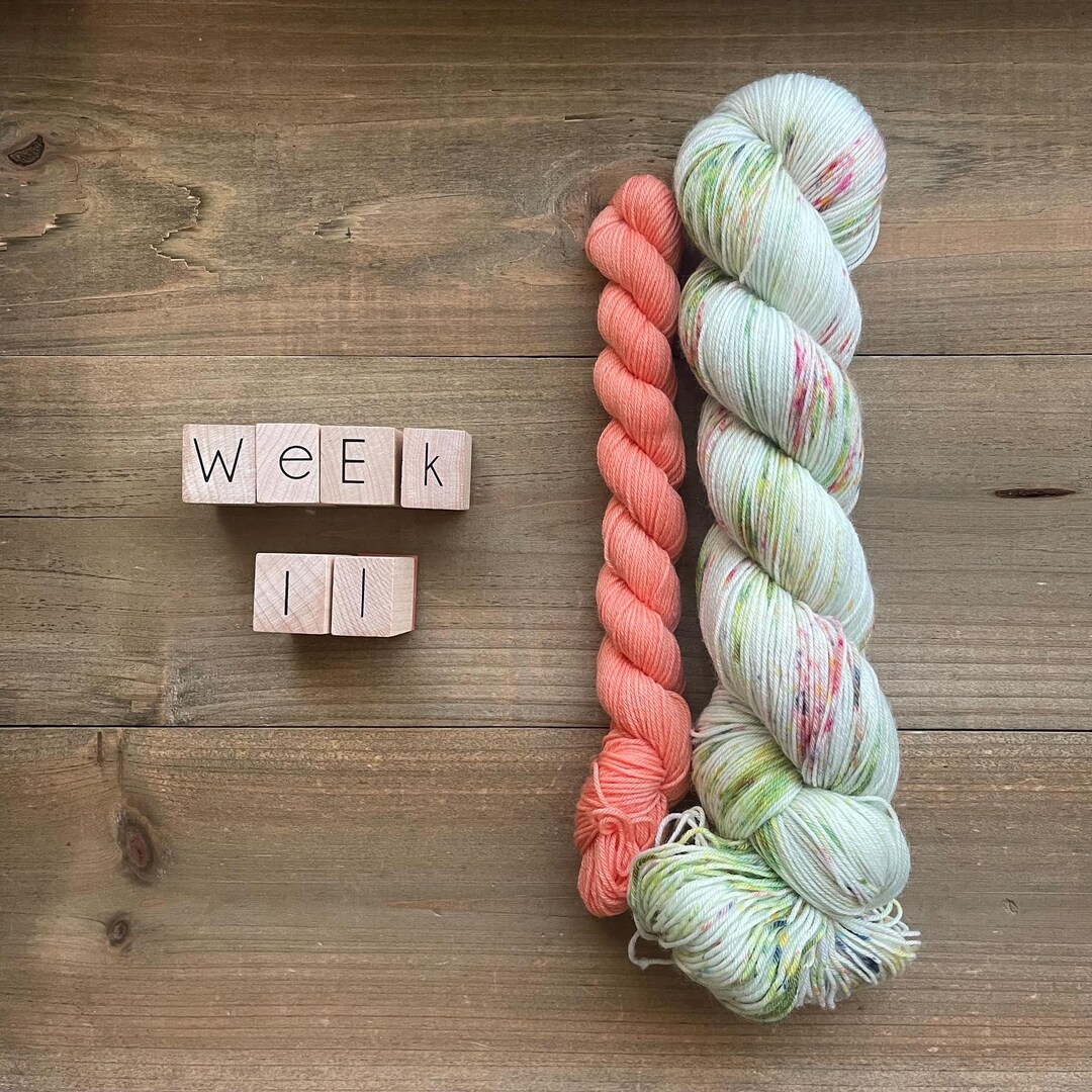 52 Weeks of Sock Sets | Week 11 | 2025 | 100 G | Full Skein | 20 G ...