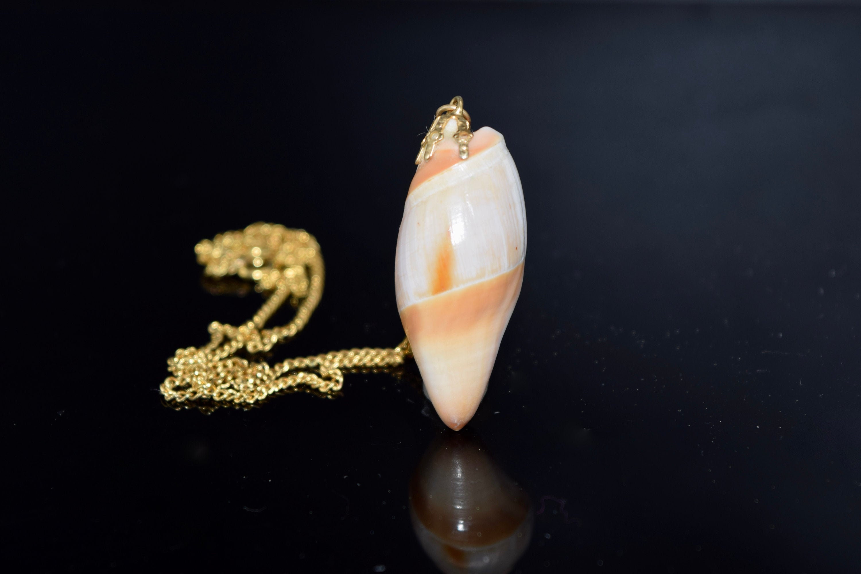 Seashell Pendant Necklace Gold Shell Pendant Shell Jewelry | Etsy