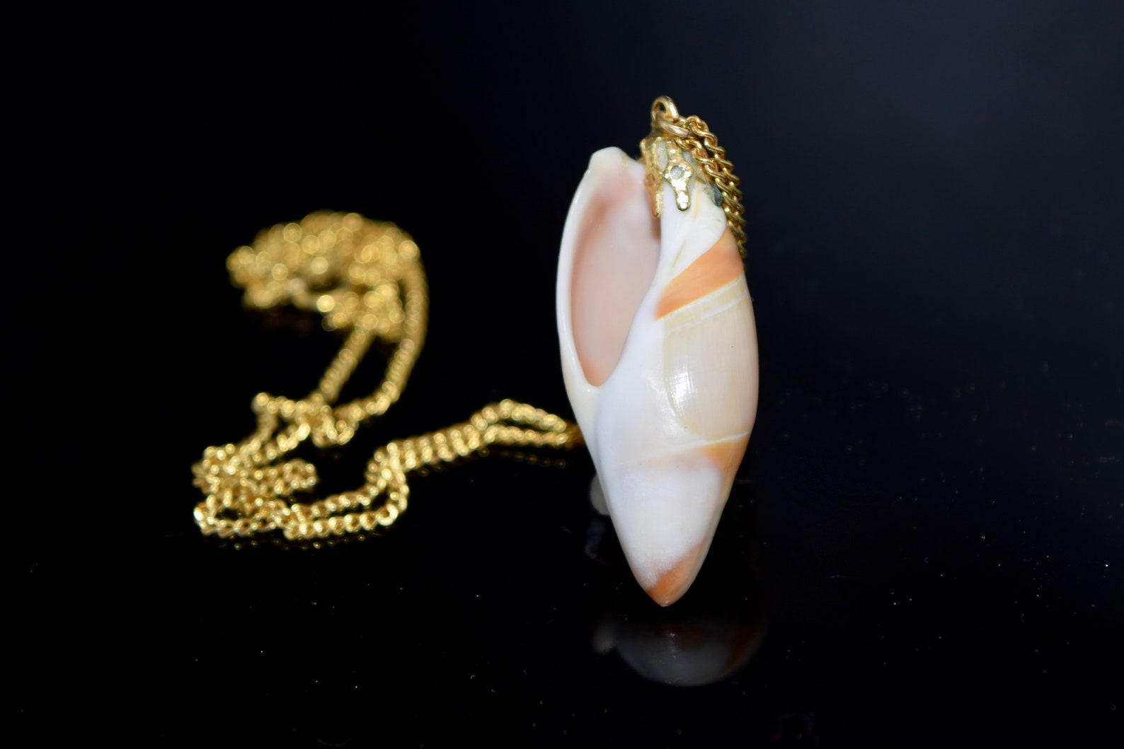 Seashell Pendant Necklace Gold Shell Pendant Shell Jewelry - Etsy