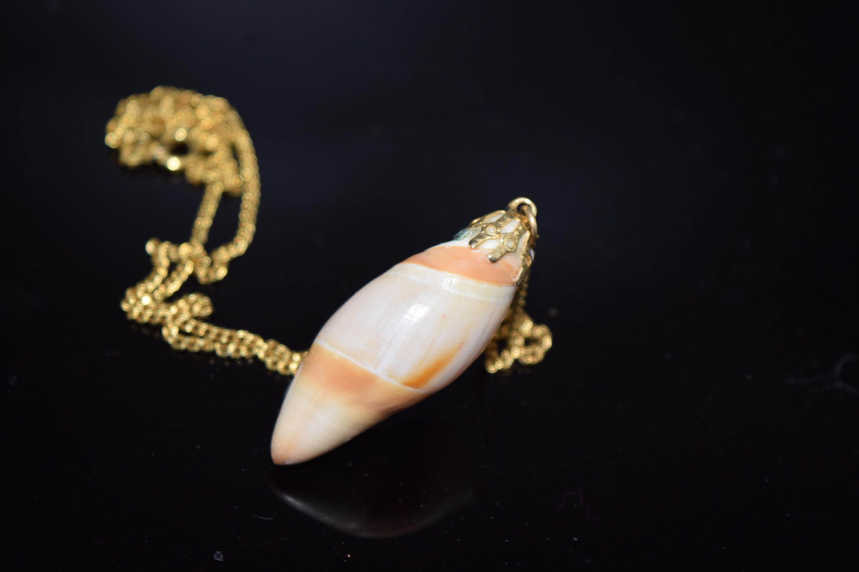 Seashell Pendant Necklace Gold Shell Pendant Shell Jewelry | Etsy