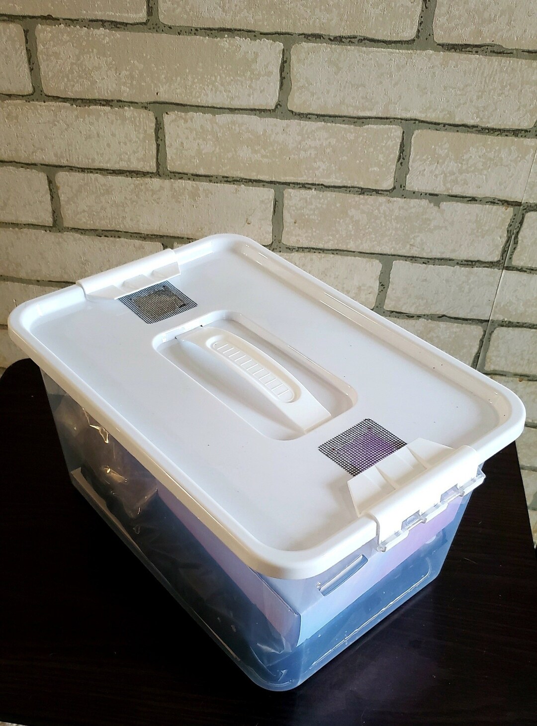 Premium Starter Kit Isopod Enclosure Tub Bioactive Vivarium - Etsy