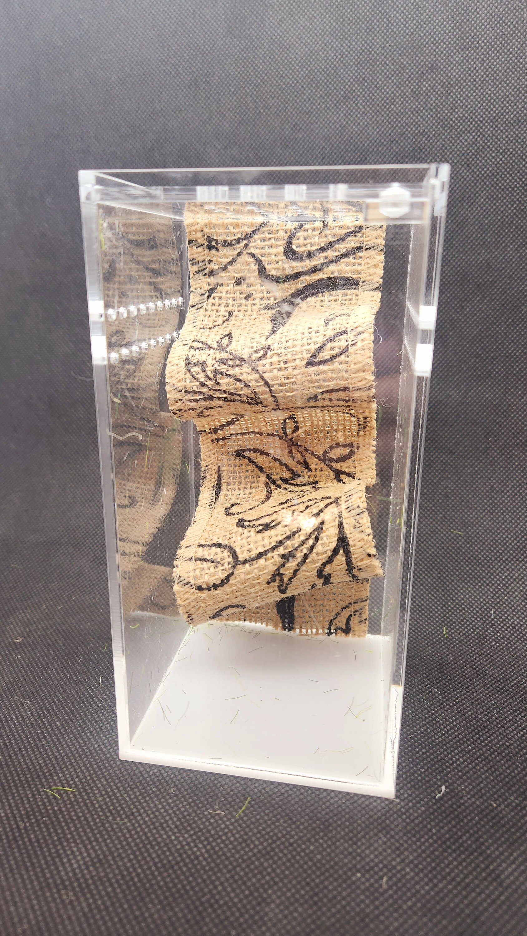 Cute Magnetic Jumping Spider Peak-a-boo Burlap Enrichment/ Toy/ Decor ...
