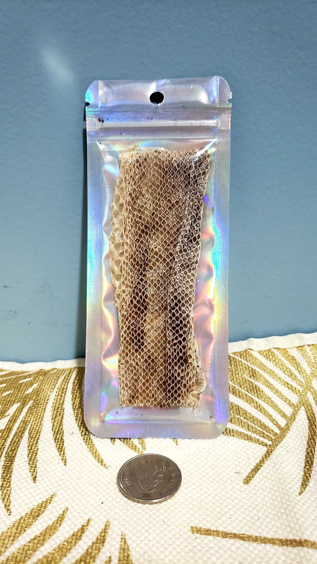 Organic Snake Skin Protein Source for Isopods, Snails, Hermit Crabs ...