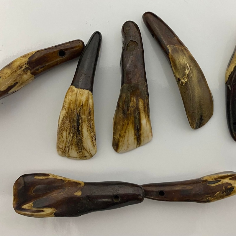 Buffalo American Teeth - Etsy