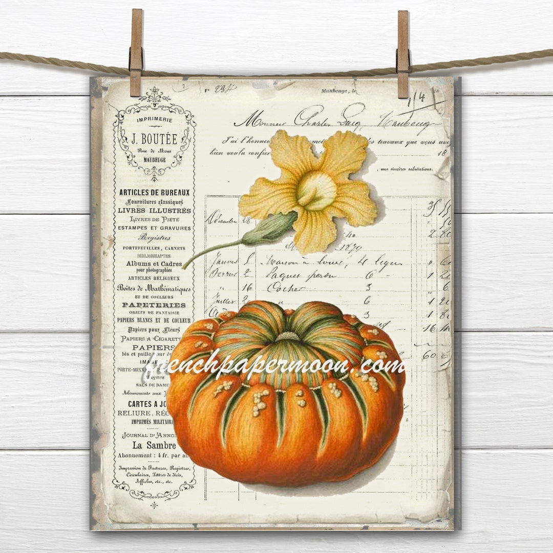Vintage French Pumpkin Botanical, French Fabric Transfer, Large Image ...