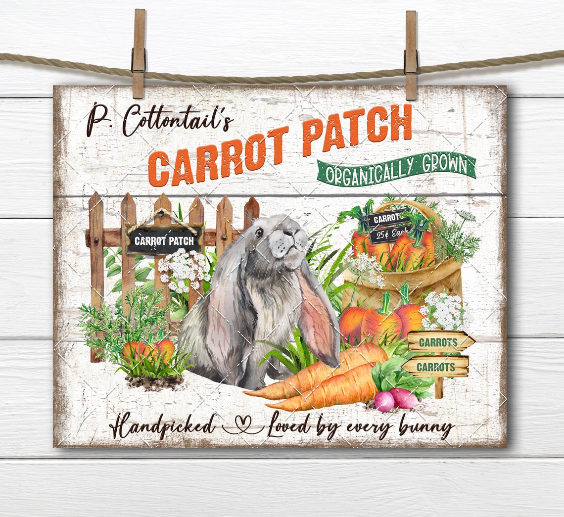 Cottontail Carrot Patch DIY Easter Sign Garden Bunny Cute - Etsy